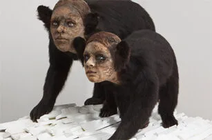 Kate Clark: Mysterious Presence | Hilliard Art Museum